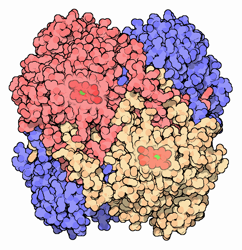The Sequencing of A Level Enzyme Practical Lessons – Chat Biology